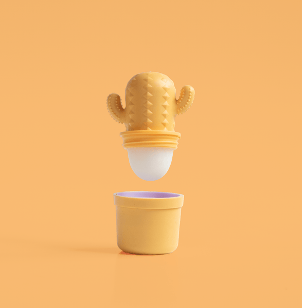 Double Clementine Cactus Lip Balm – Rebels Refinery Inc